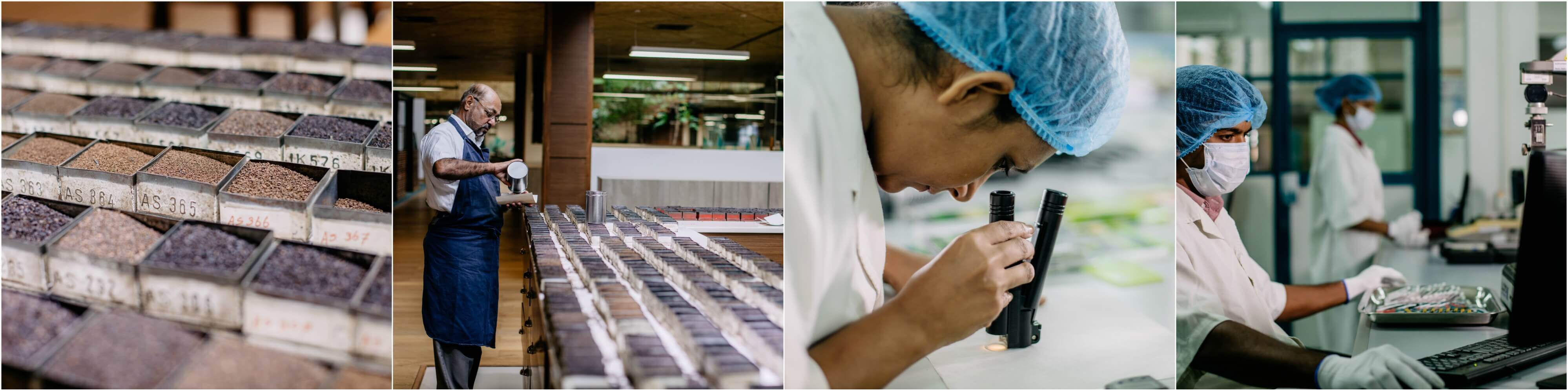 MJF Exports - Tea Packaging Solutions - Bulk Tea Packaging