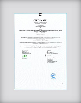 MJF Exports - Quality Certifications - Superior Quality Tea